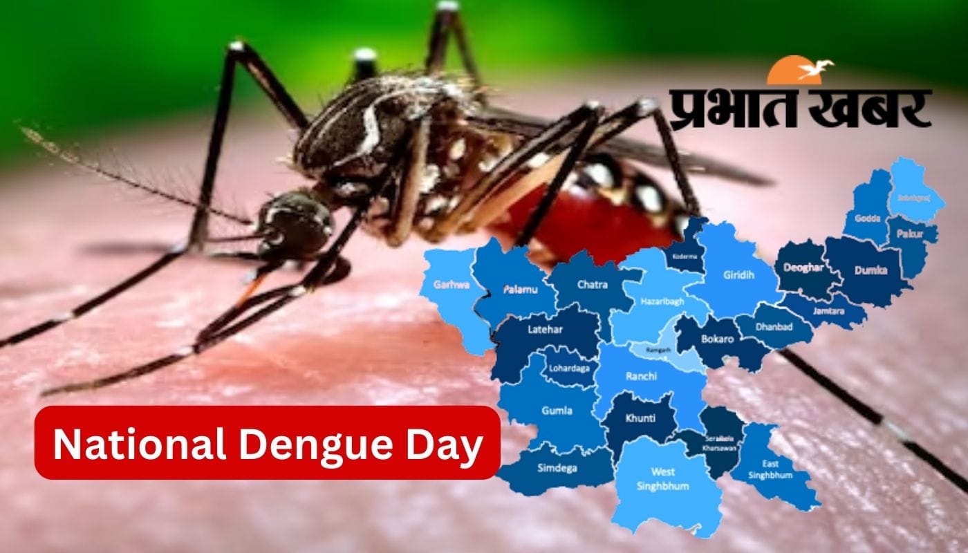 national dengue day effective control on dengue in jharkhand 2 deaths in 5 years mtj | National ...