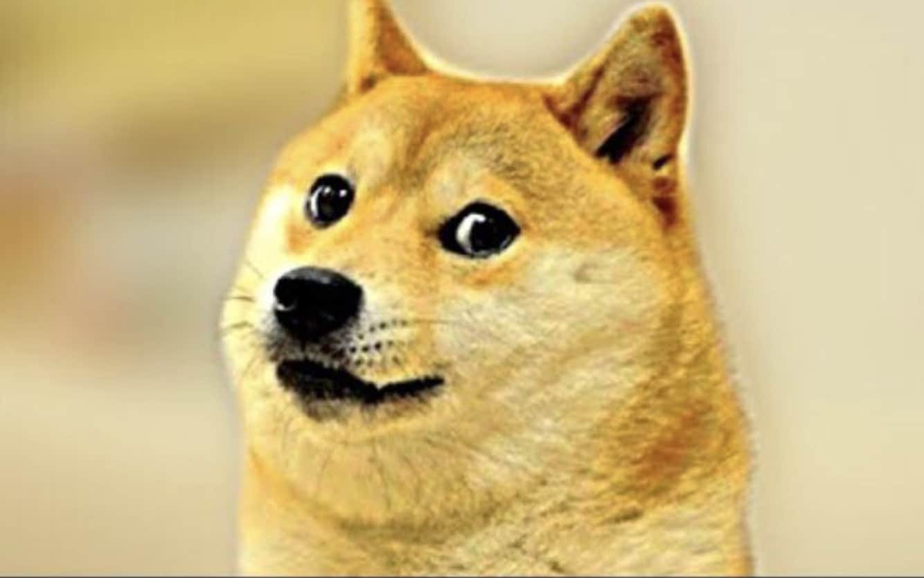 Doge Memes League Of Legends