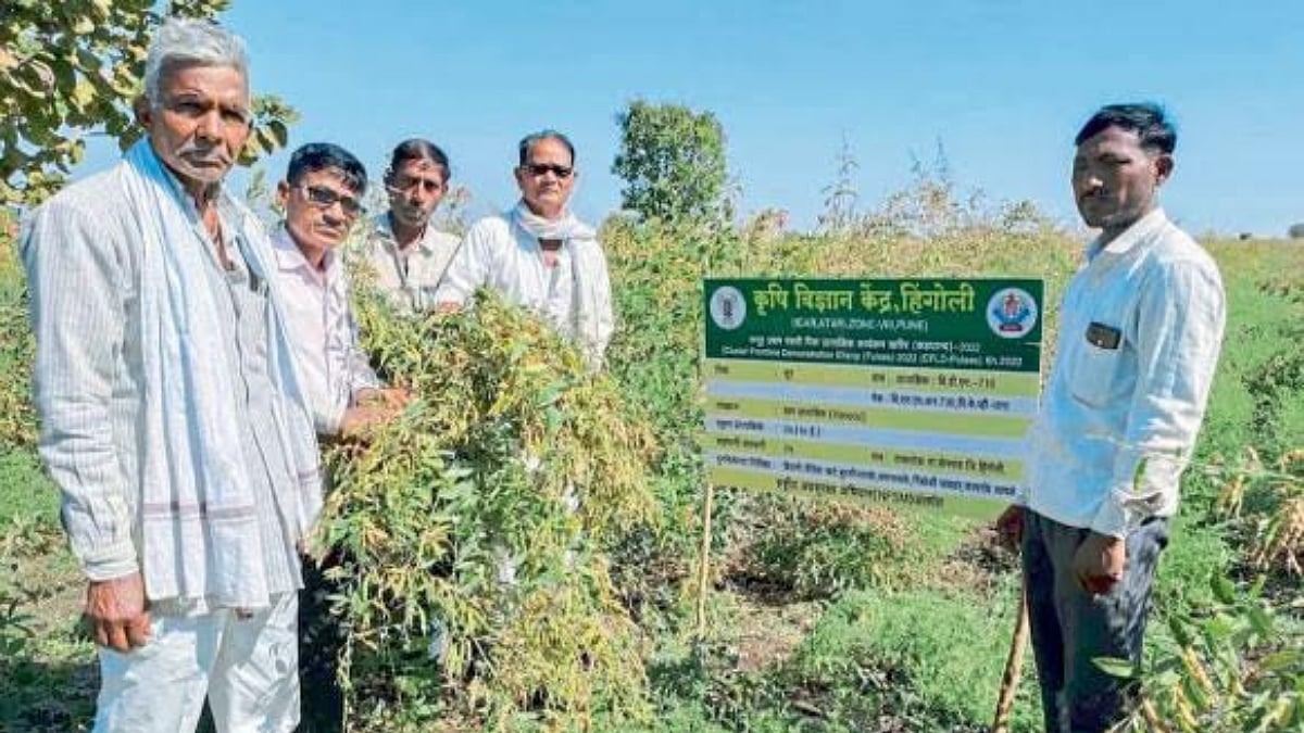 तज्ज्ञांकडून तूर पिकाच्या‘बीडीएन ७१६’ वाणाची पाहणी । Tur Crop Verity