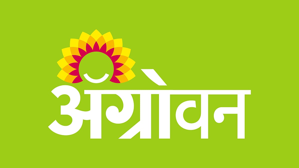 Agrowon - Latest Agriculture News in Marathi | कृषीविषयक बातम्या