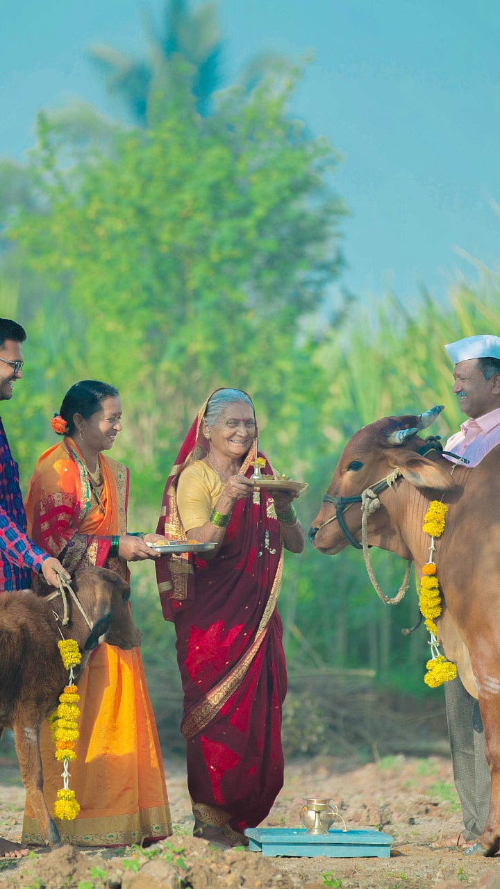 Vasubaras Special | 'वसुबारसे'च्या निमित्ताने गाईचा केलेला खास फोटोशूट!