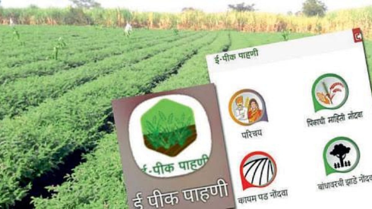त्रेपन्न लाख हेक्टरवर झाली ई-पीकपाहणी । E Peek Pahani App