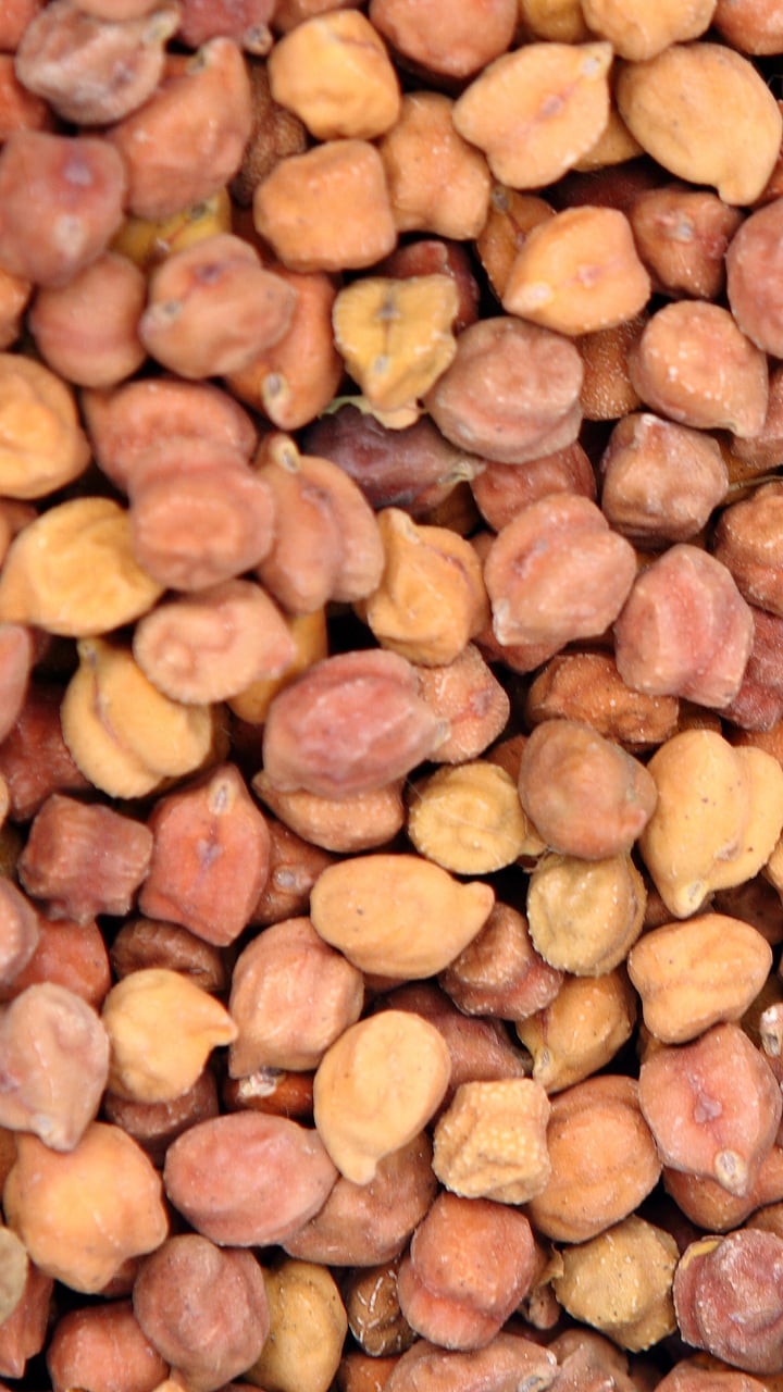 Chana Market: हरभरा दर वाढण्याचा अंदाज