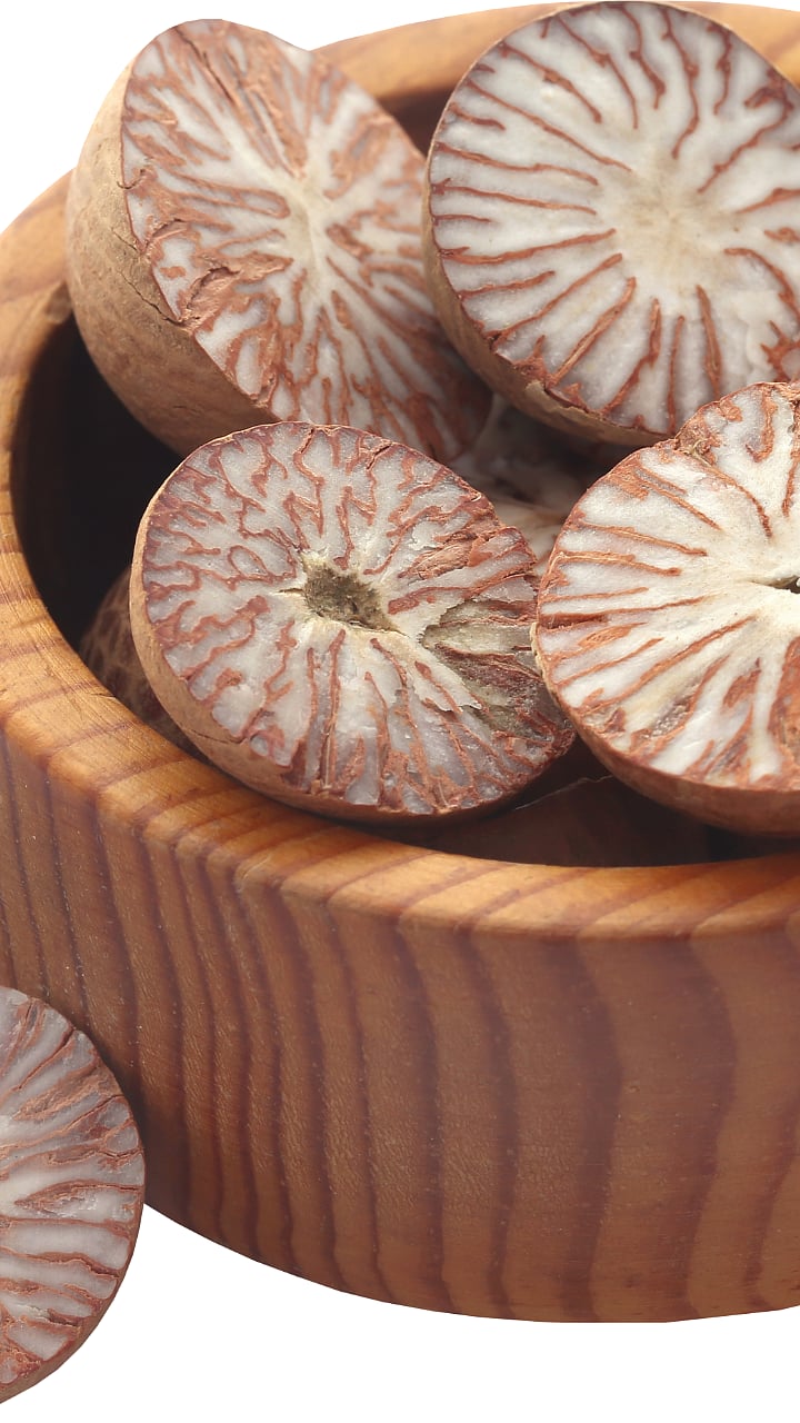 Supari Tree| तुम्ही सुपारीचं झाड पाहिलं का? |Have you seen the betel ...