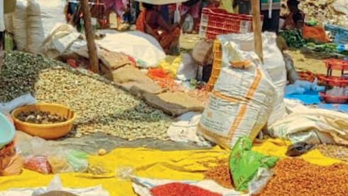 Tribal Employment । जंगली झाडांची फुले, बियांपासून आदिवासींना रोजगार ...