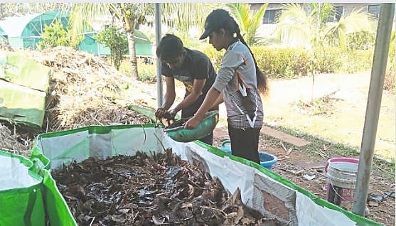 Compost Making | तंत्र कंपोस्ट खत निर्मितीचे... | The technique of ...