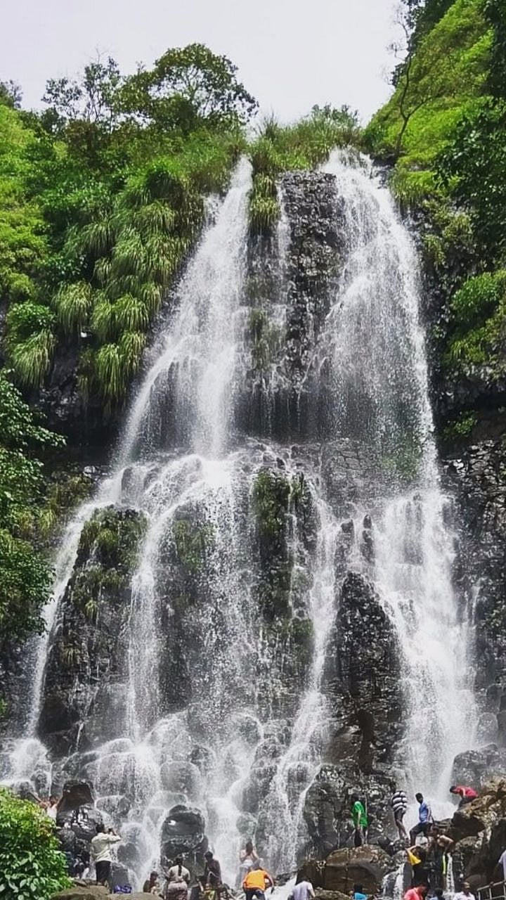 Amboli waterfall on Sindhudurg districts has flowed|आंबोली धबधबा ...