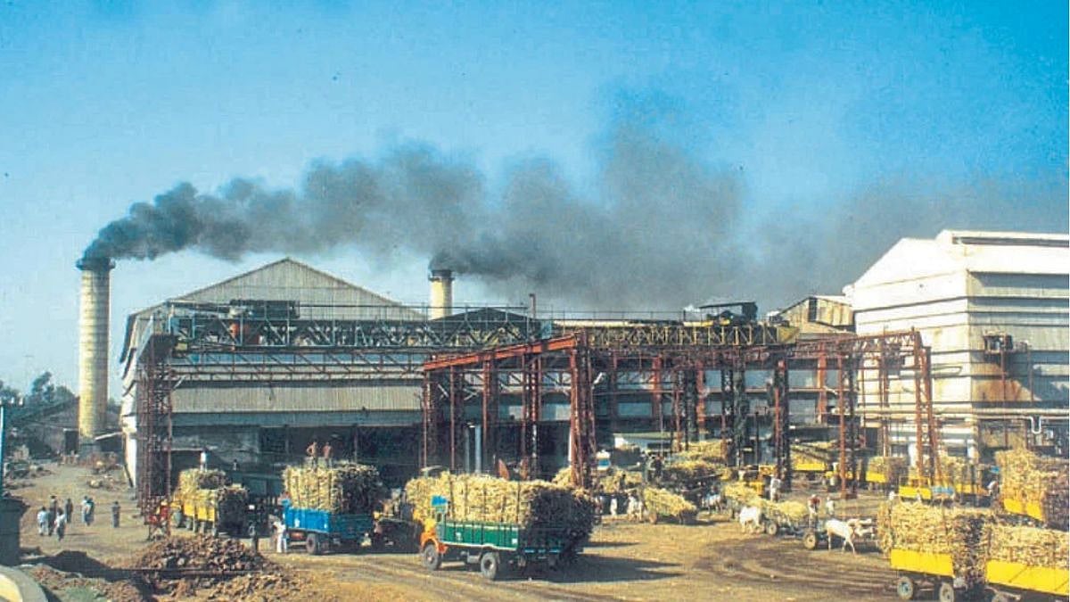 Karnataka Sugar Factory : सीमाभागातील साखर कारखाने लवकर सुरू होणार ...