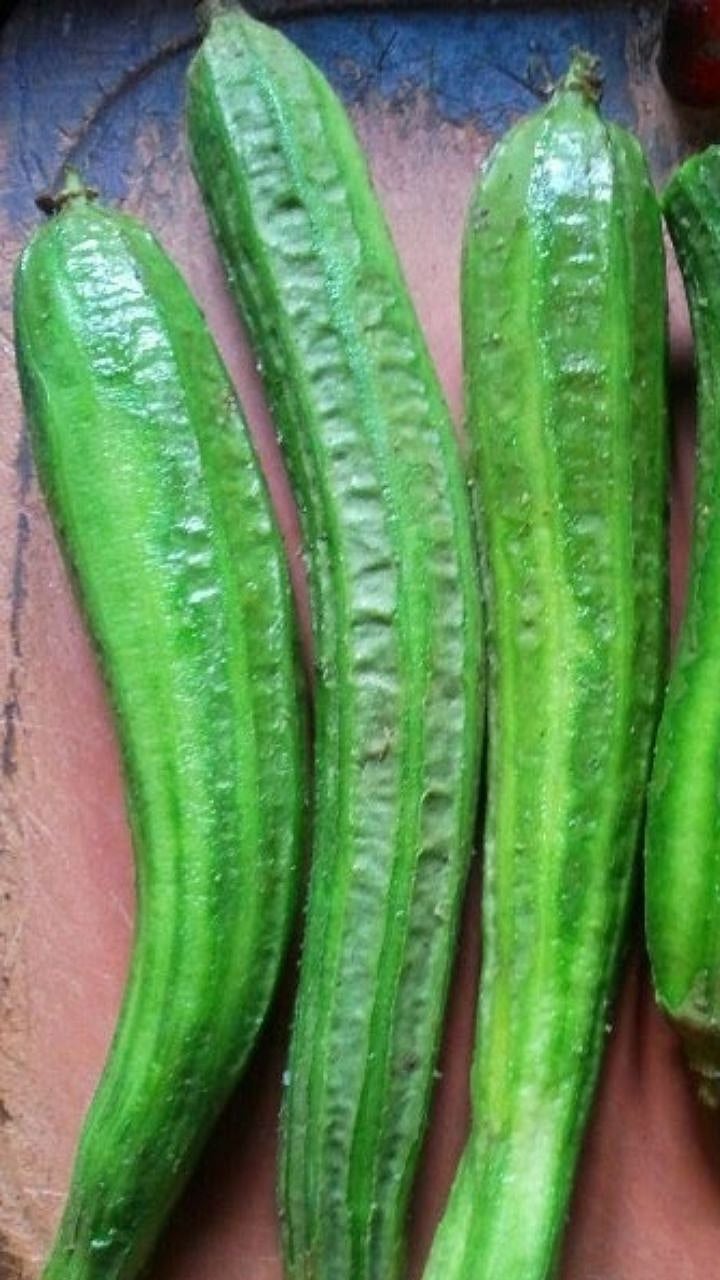 Ridge Gourd Benefits : पाणीदार दोडका खा आणि आजार पळवा|Know the Benefits ...