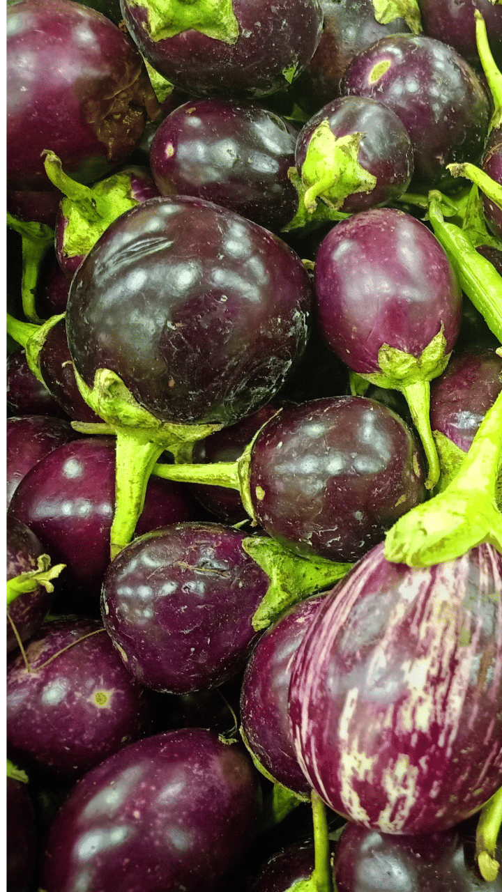 Brinjal Crop | वांगी लागवड करताना काय काळजी घ्याल?| What care should be ...