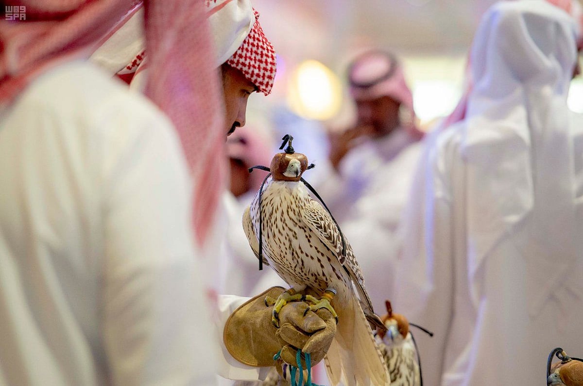 Falcons exhibition opens its doors for visitors at Malham