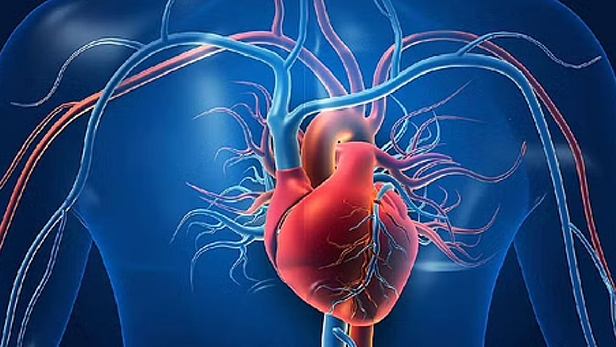 Improving Heart Health: Tips for Prevention and Management - World ...