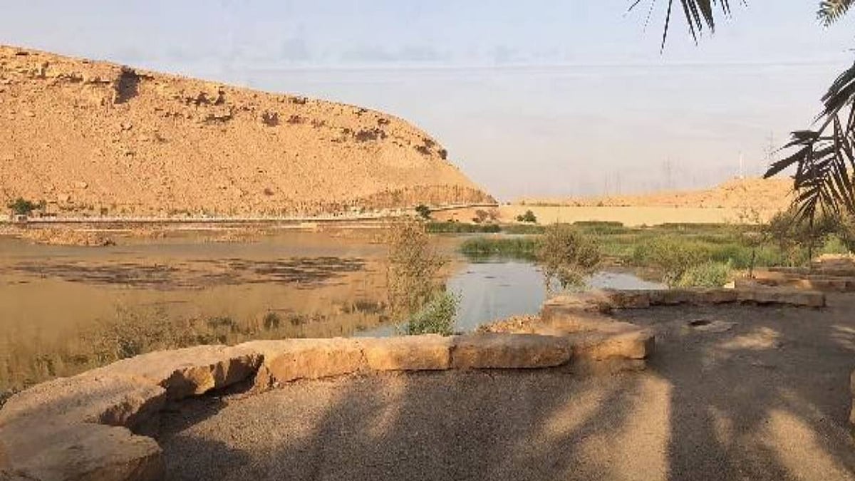 «وادي لبن» بالرياض.. ماء عذب وفواكه متنوعة