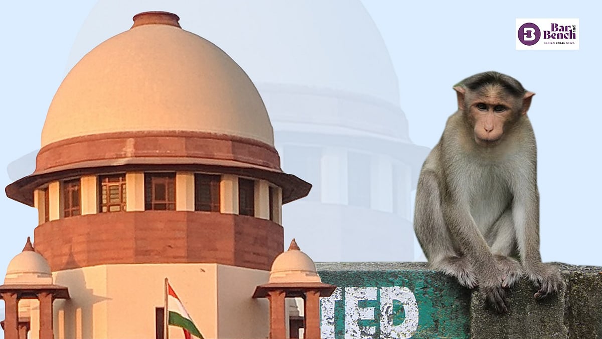 Monkey menace: Supreme Court invites tenders for monkey scarers at ...