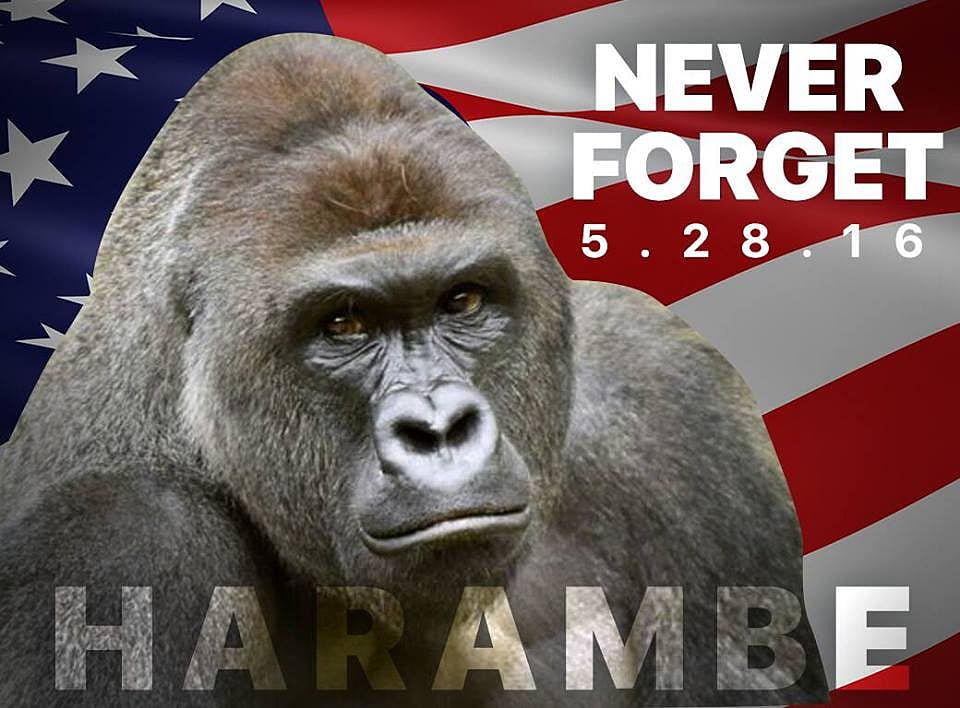 These law students are organising a candle light vigil for Harambe