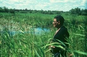 Wild crop varieties need better protection: WWF