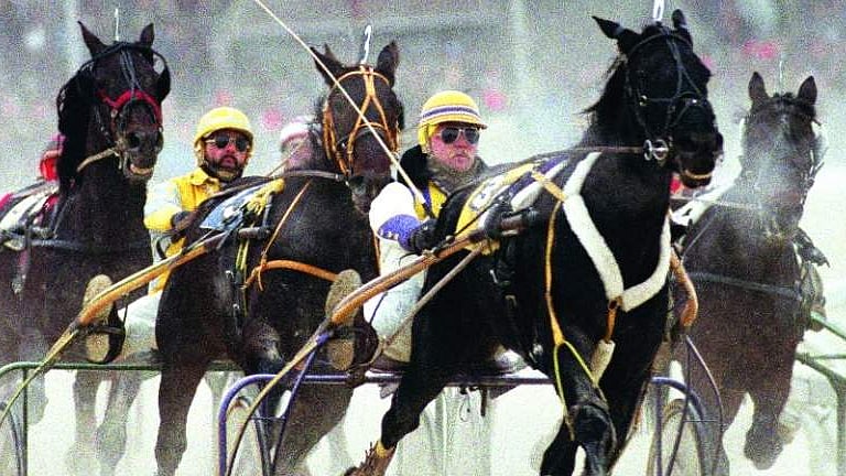 Harness Racing: Mitchell goes for some Sunday afternoon pacers at ...