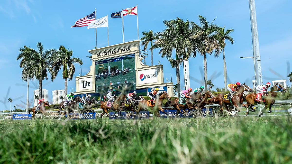 Garrity picks Wednesday Horse Racing at Gulfstream Park and Tampa Bay Downs