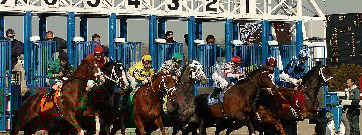 FREE Friday Horse Racing picks from Aqueduct: RT and SmartCap break ...