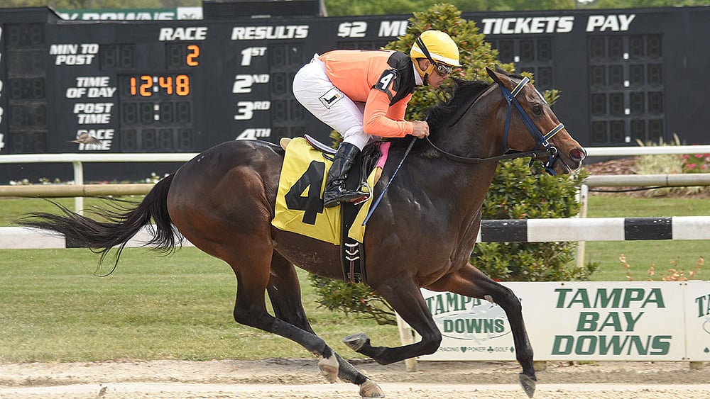 Wednesday Horse Racing: God's Tipster picks the 2nd and 7th races at ...