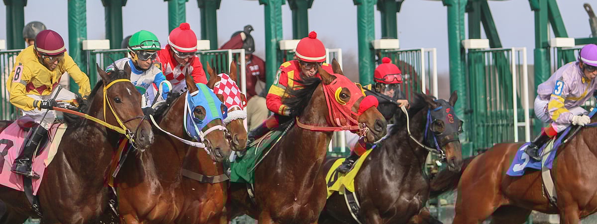 Monday at Parx Racing: RT picks 3 races using his SmartCap system