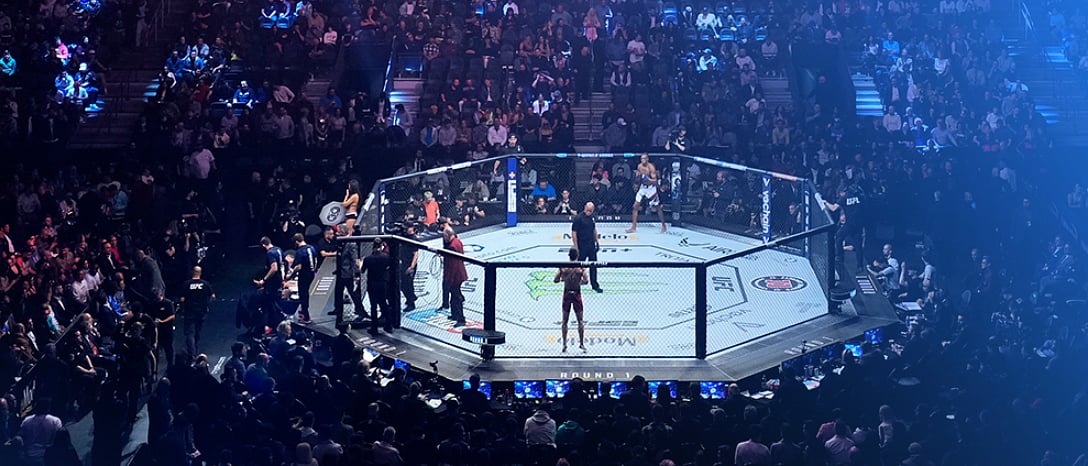 An Introduction to MMA: A Beginner's Guide