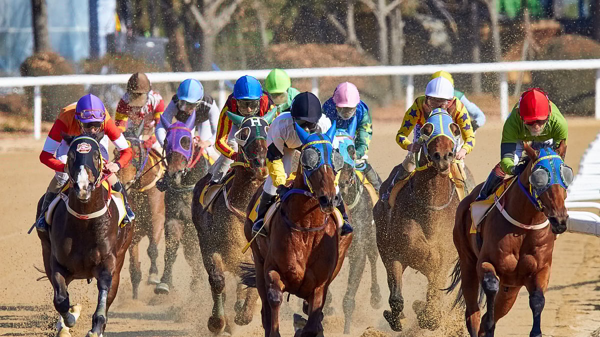 FREE Friday Laurel Horse Racing pick: RT and SmartCap look at the 8th ...