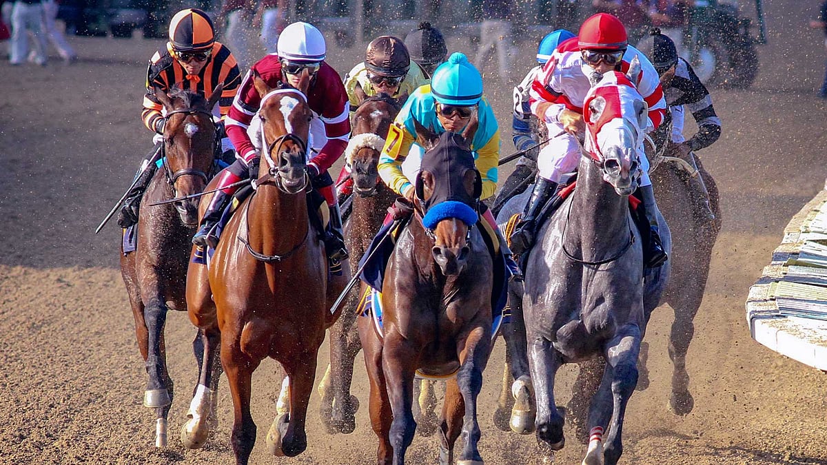 Thoroughbred Tuesday: Garrity picks the horses at Parx Racing, Turfway ...