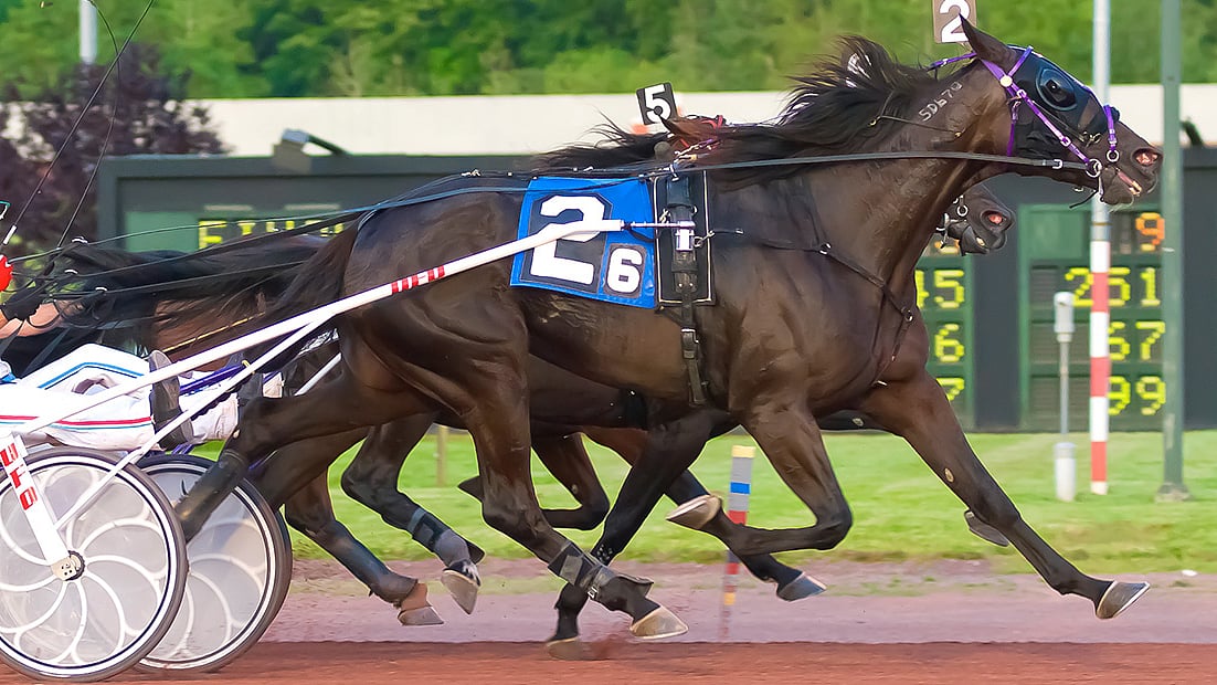 Harness Racing: Alan Mitchell picks a 10-race card for Saturday