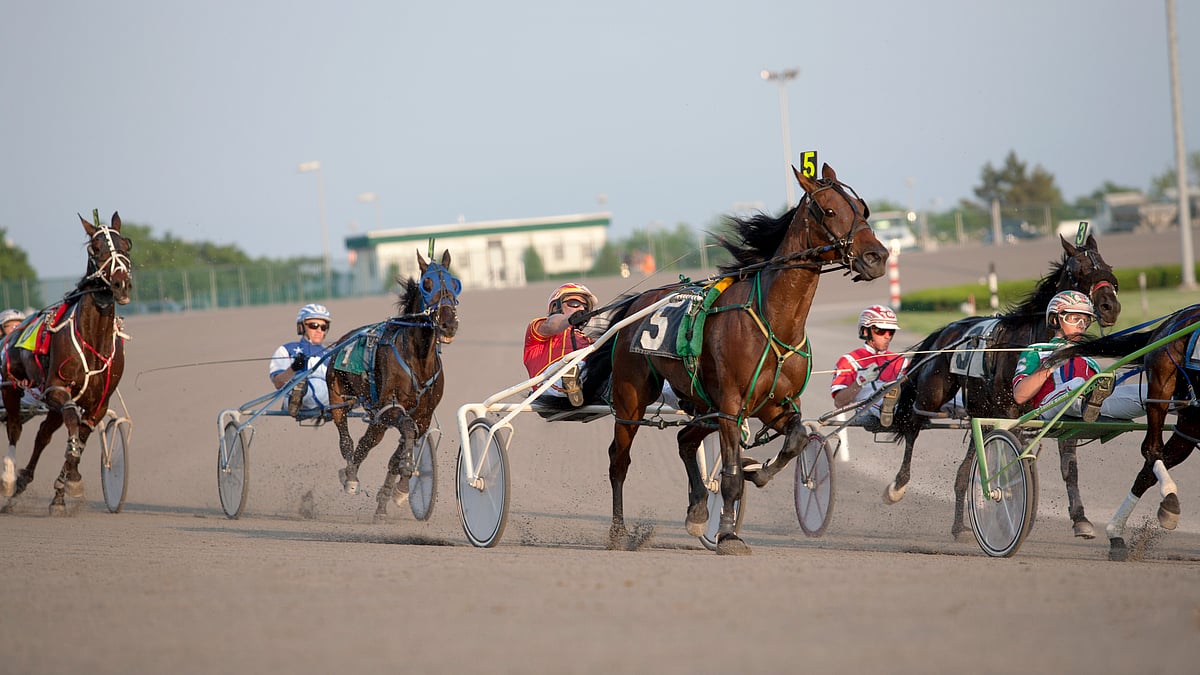 Harness Racing