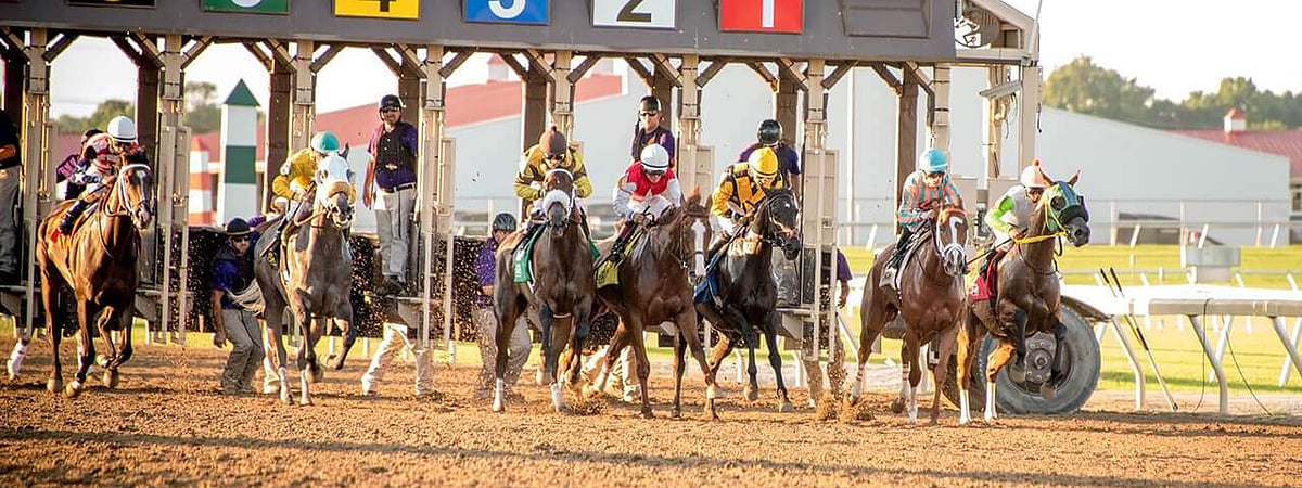 Indiana Grand Picks Today Indiana Grand'S Rachel Mclaughlin Appearance ...