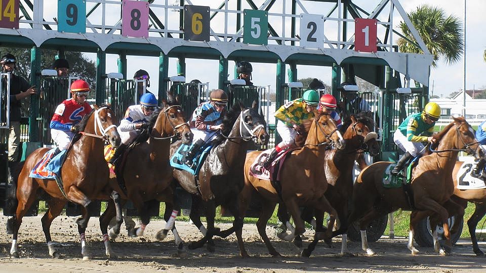 Thoroughbred Thursday: Garrity picks the horses at Oaklawn Park and the ...
