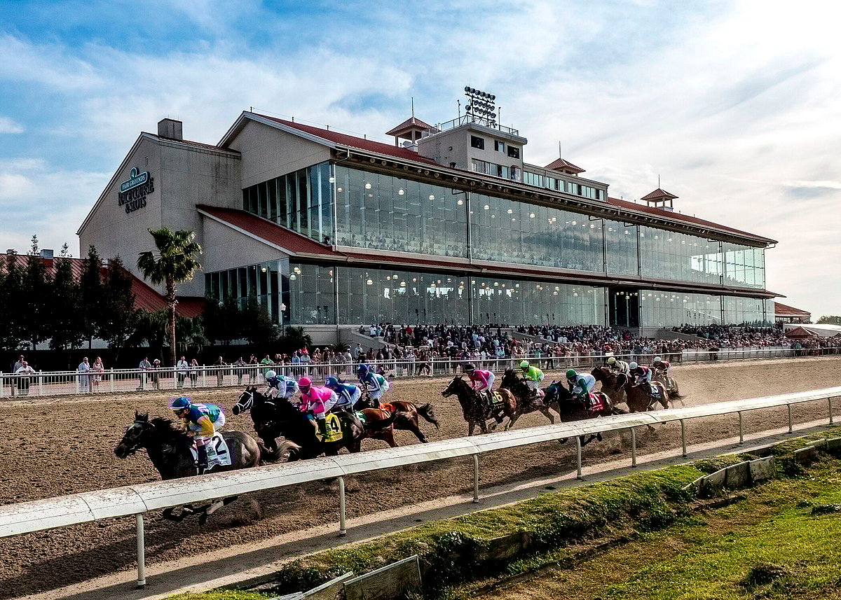 Thoroughbred Thursday: Garrity picks a high-quality filly at the Fair ...