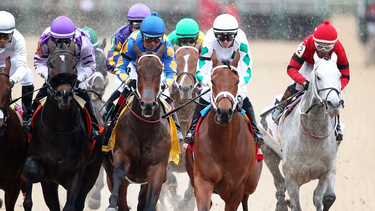 Friday Horse Racing: It's opening day at Oaklawn Park and Garrity has 4 ...