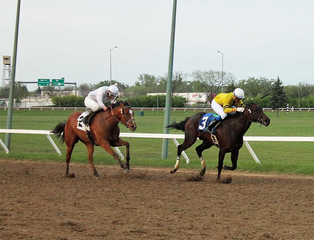 BI’s Disabled Jockey Fund Charity Handicapping Contest: Monday, RT ...