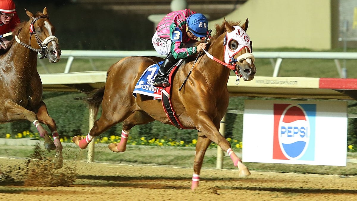 Sunday at Lone Star Park: RT picks all 7 Stakes races, including The ...