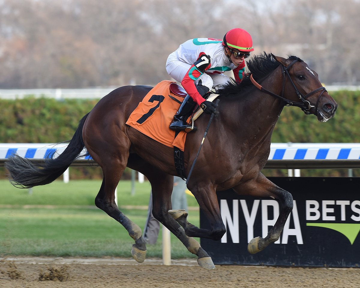 Thursday at the track: Garrity picks opening day races at Saratoga ...
