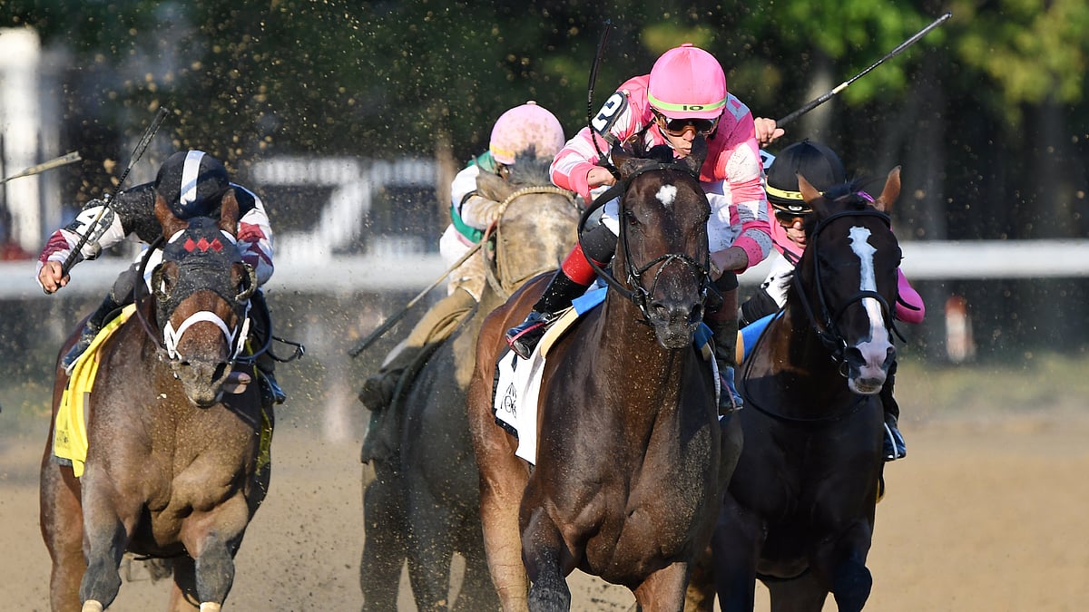 Saturday Horse Racing: It's Pegasus Day at Gulfstream and RT picks the ...