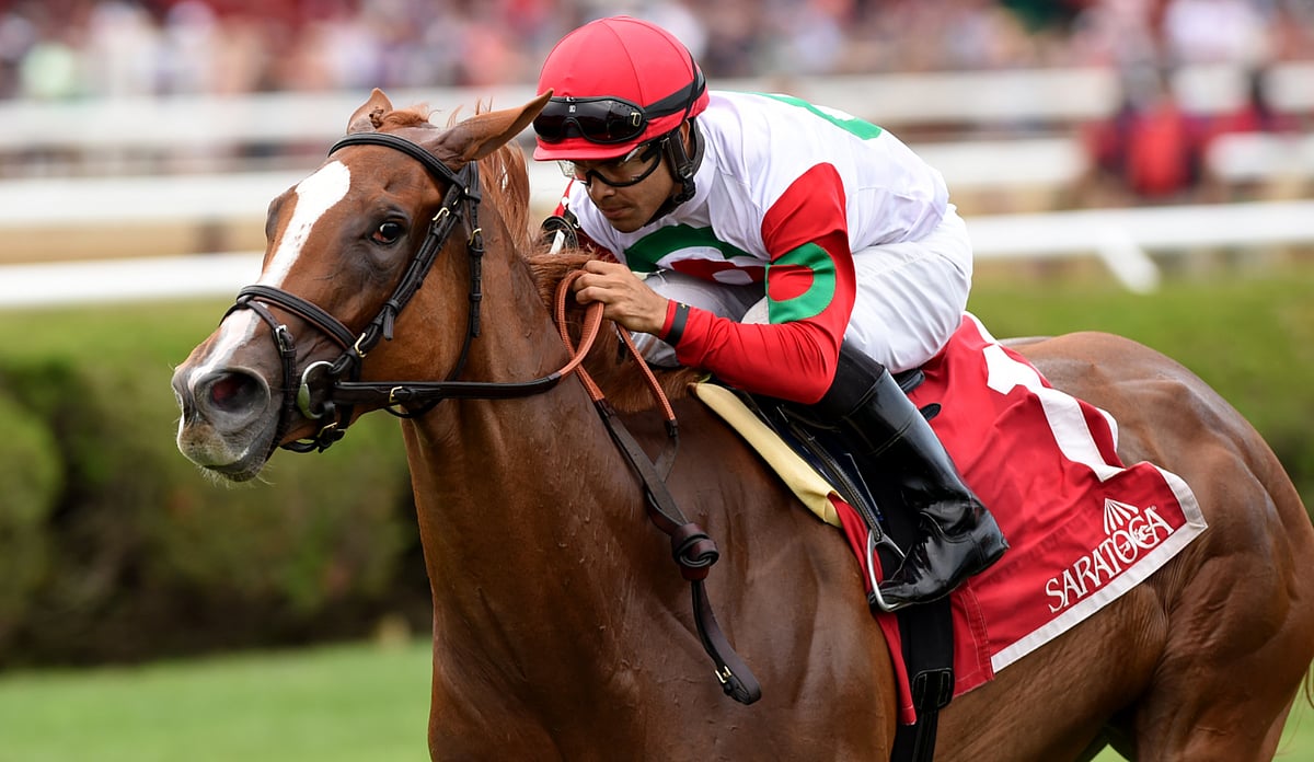 Garrity's Saturday Stakes: The Giant Causeway at Aqueduct, plus ...