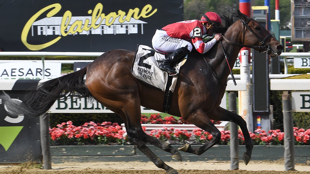 Garrity's Sundays Stakes picks 3 races at New York Showcase Day at ...