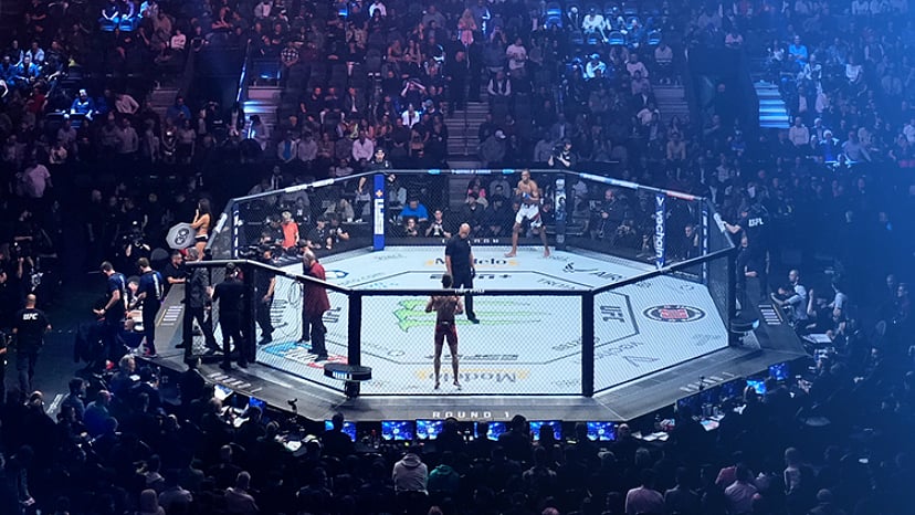 An Introduction to MMA: A Beginner's Guide