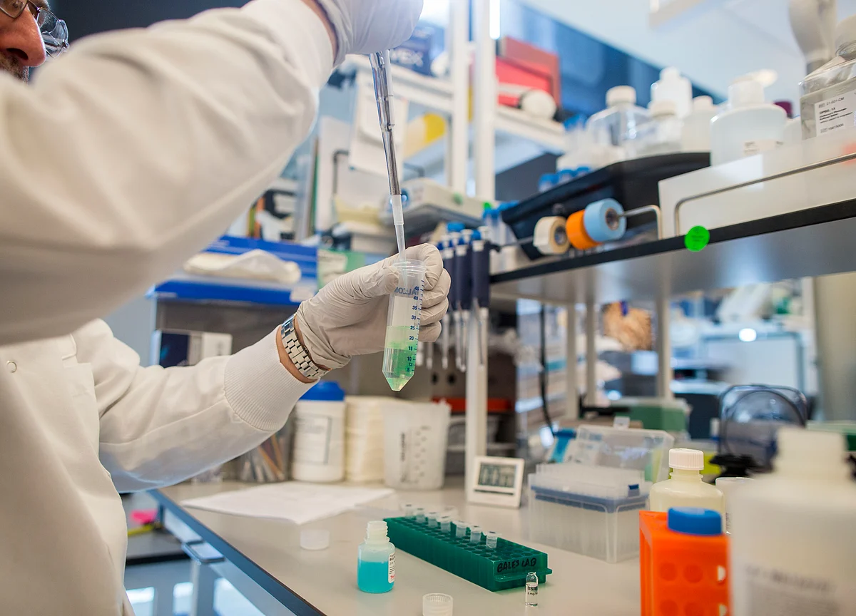Rossari Biotech Ipo Heres All You Need To Know Before You Subscribe