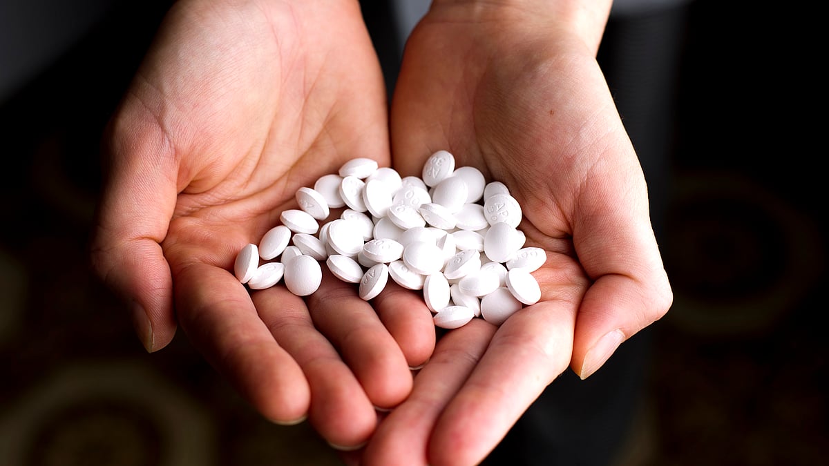 Divi’s Laboratories Q3: After Operationally Strong Results, Management ...