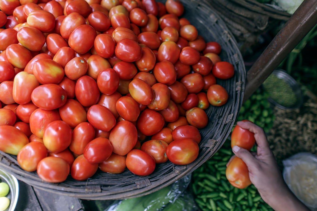 july-cpi-tomato-shock-gst-and-whether-economists-expect-further-rate-cuts