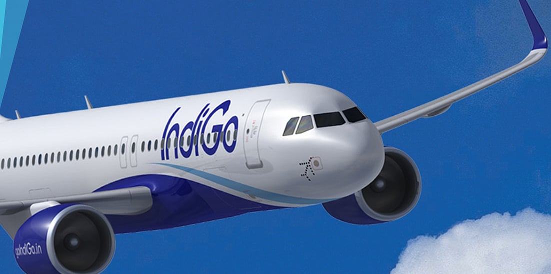 Indigo Plane