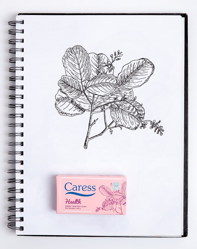 Create Successful Packaging Which is Difficult to Ignore