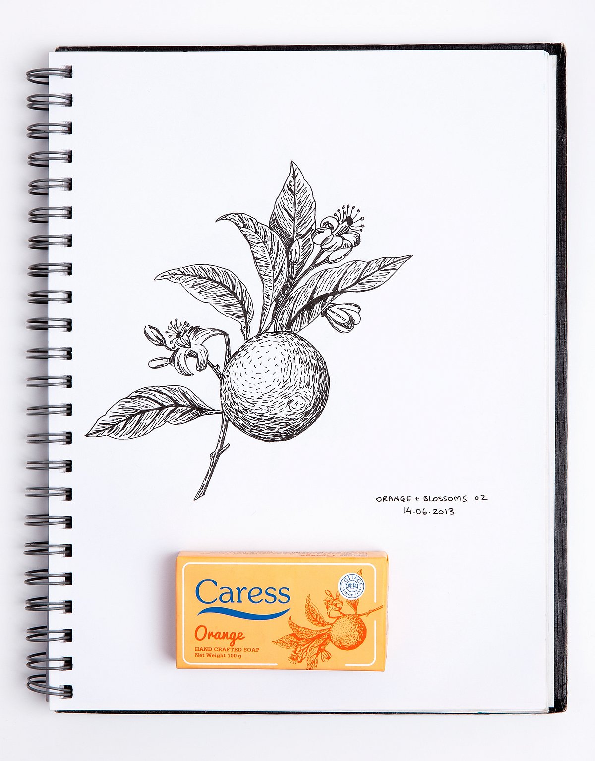 Create Successful Packaging Which is Difficult to Ignore