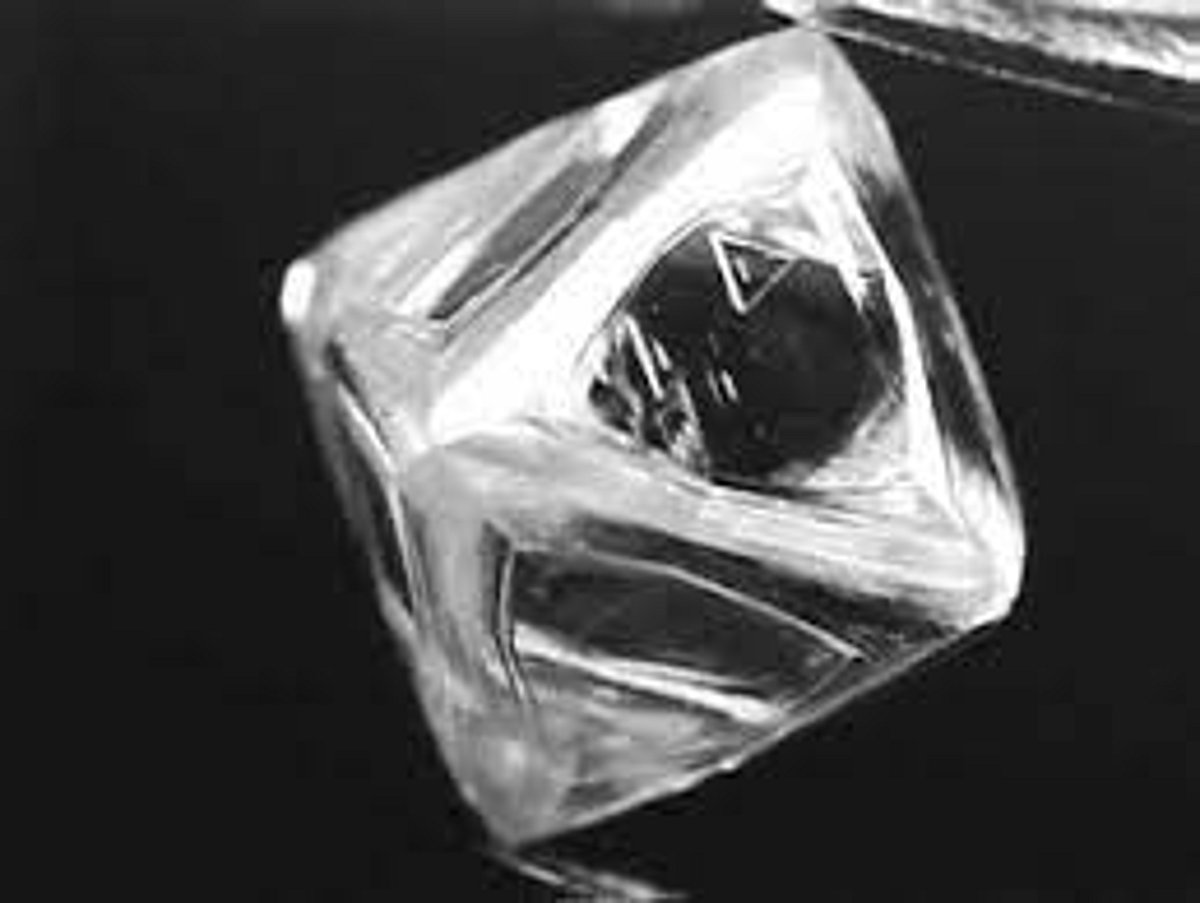Rough Prices Increase By 10 Per Cent Due To New Covid Variant rough-prices-increase-by-10-per-cent-due-to-new-covid-variant