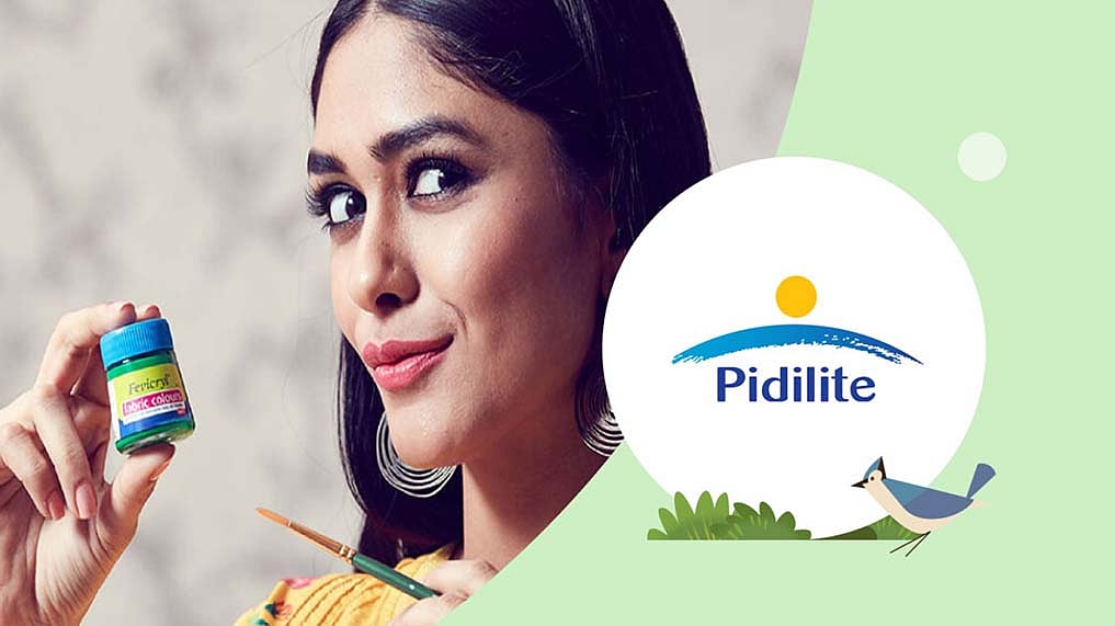 Pidilite Improves Productivity and Customer Experience with Salesforce