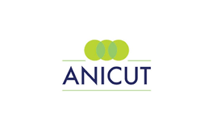 Anicut Capital, Anicut SaaS Solutions, Anicut Fintech Solutions, IT ...